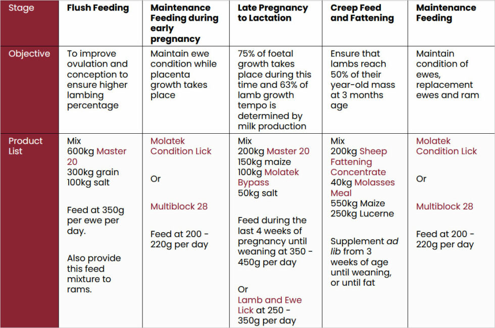 Feed requirements – Sheep | Molatek - Partnering in Ruminant Nutrition