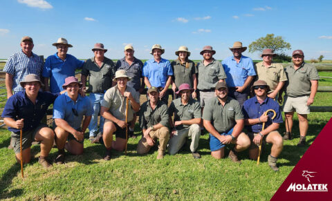 Products | Molatek - Partnering in Ruminant Nutrition