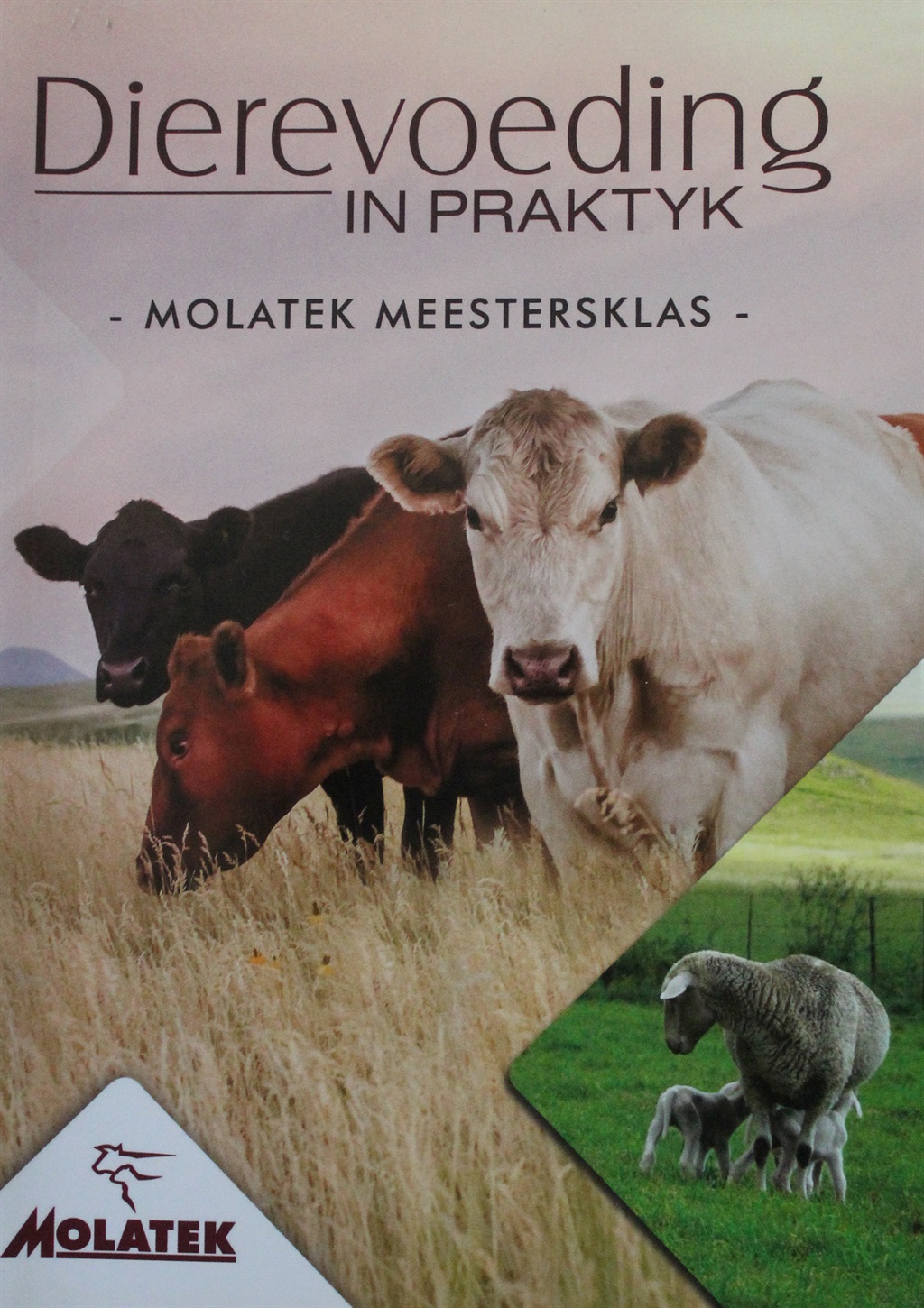Blog | Molatek - Partnering in Ruminant Nutrition