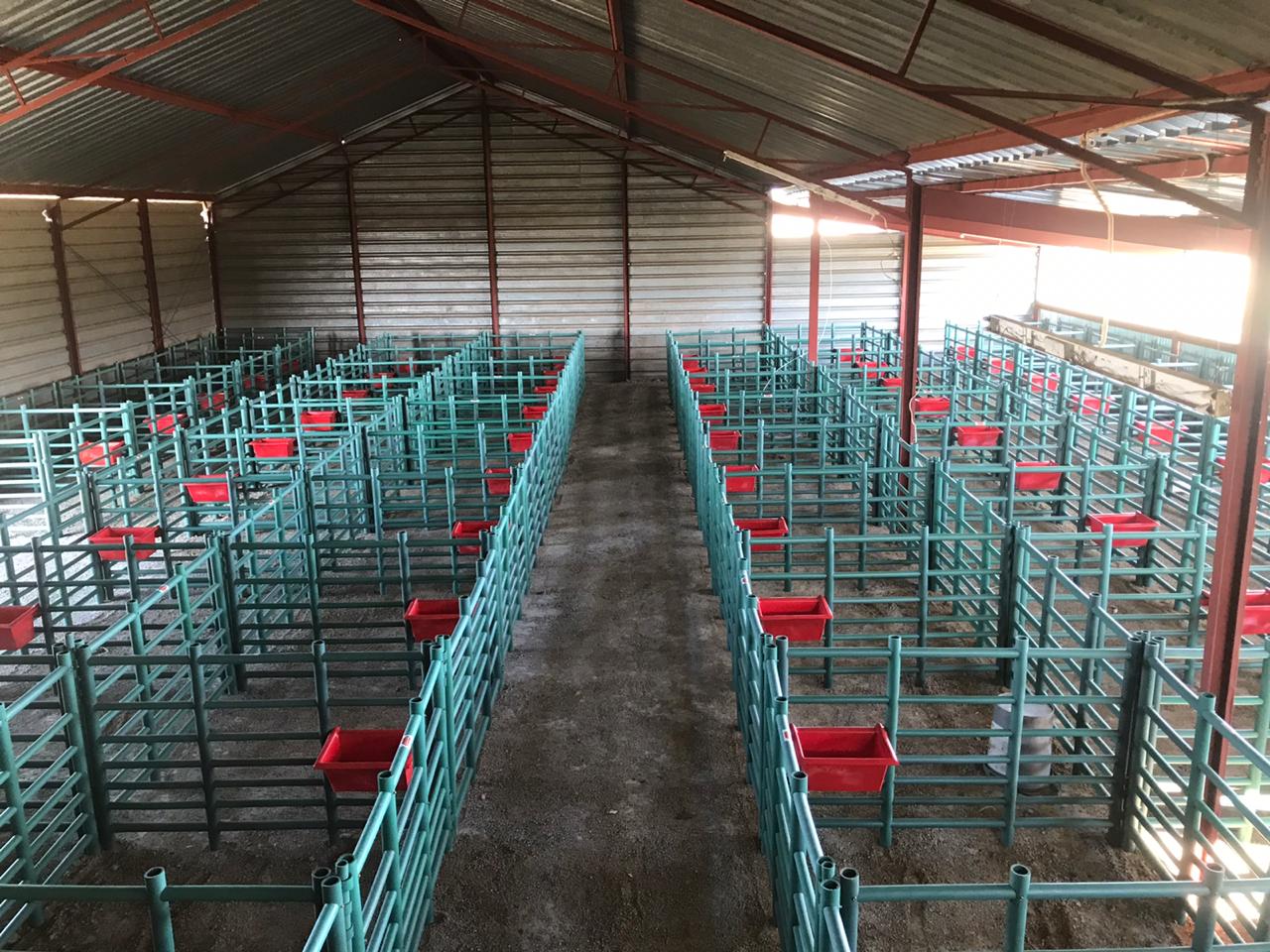 Blog | Molatek - Partnering in Ruminant Nutrition